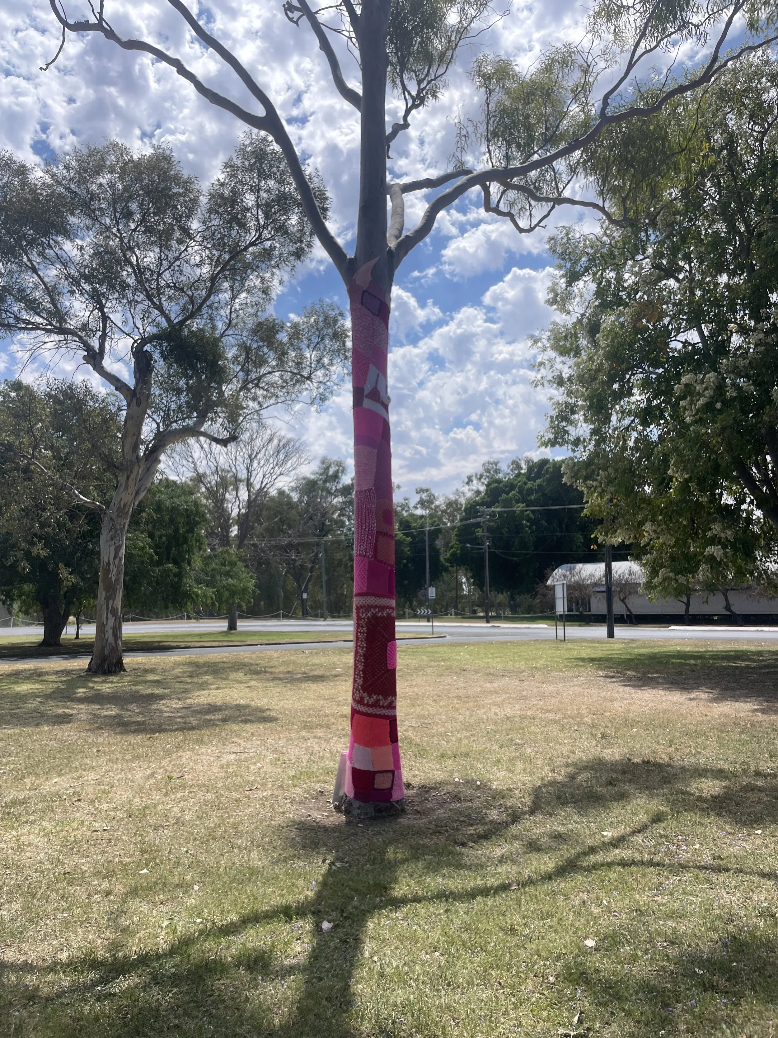 Breast Cancer Awareness Tree — Arts North West