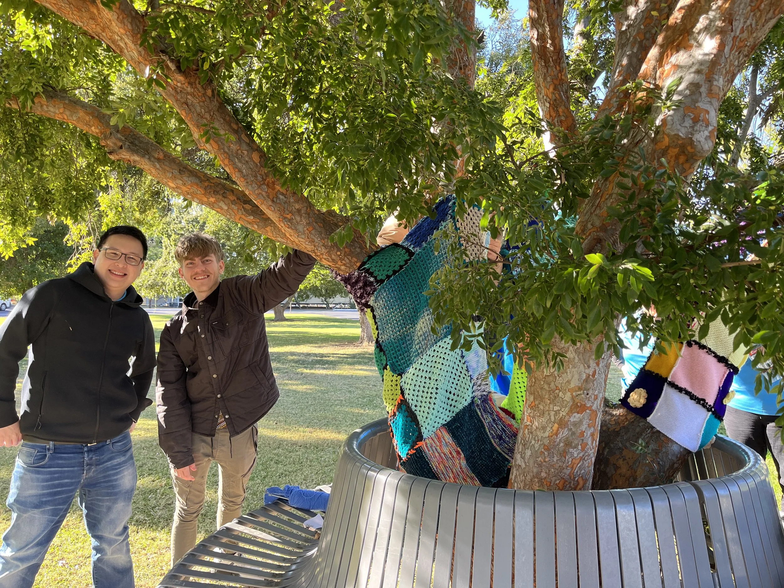 Diabetes Awareness Tree — Arts North West