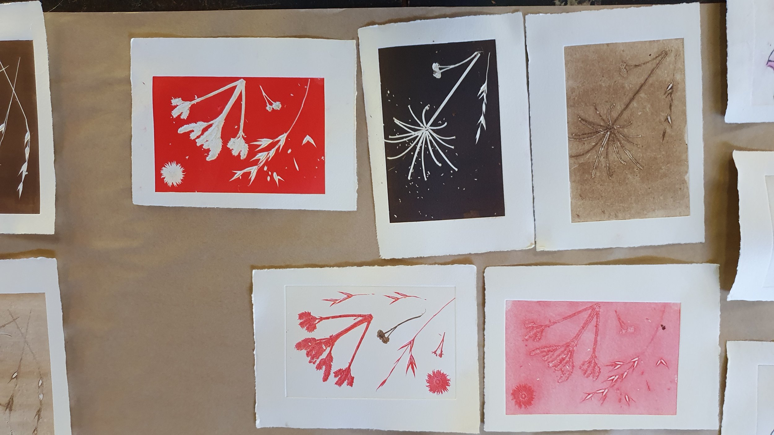 ANW CreativiTEA — Arts North West