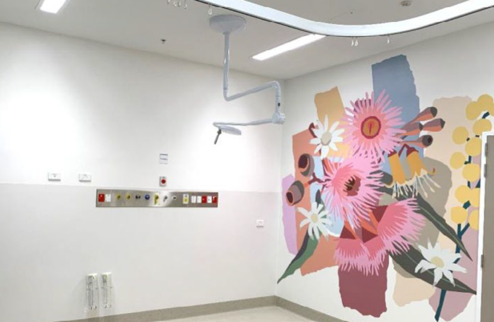 ANW Gunnedah Hospital Redevelopment, Arts in Health — Arts North West