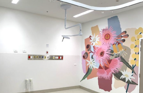 ANW Gunnedah Hospital Redevelopment, Arts in Health — Arts North West
