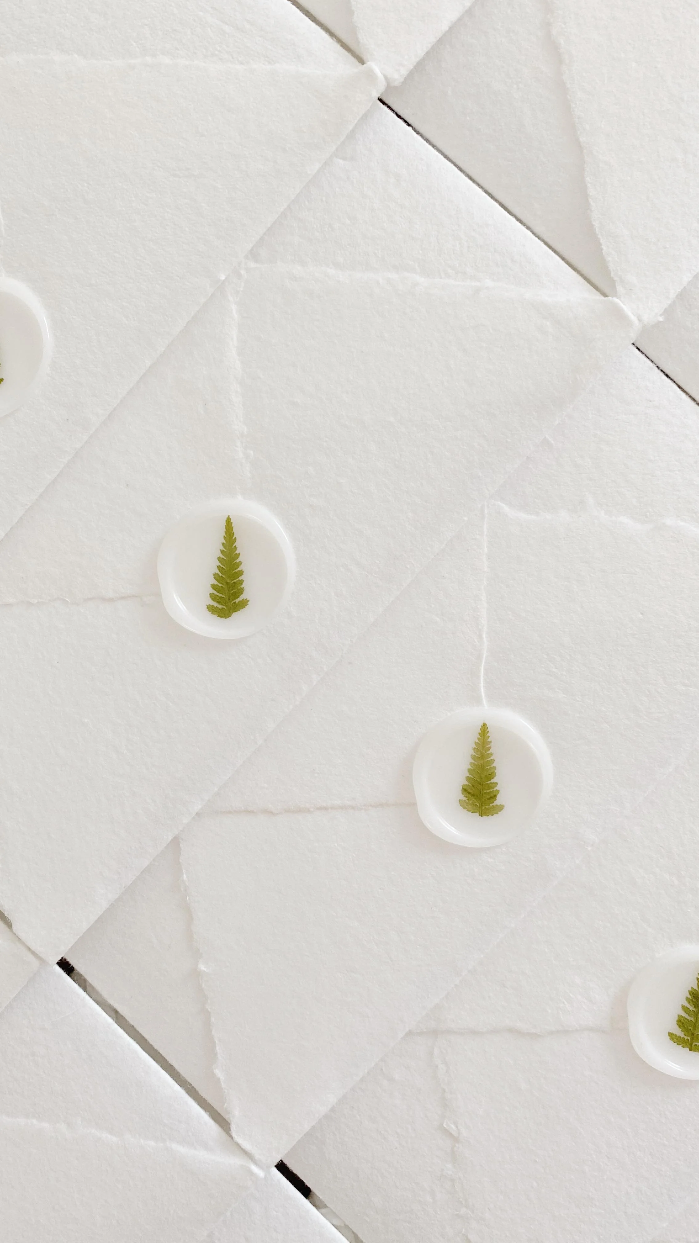 Paula Lee Calligraphy