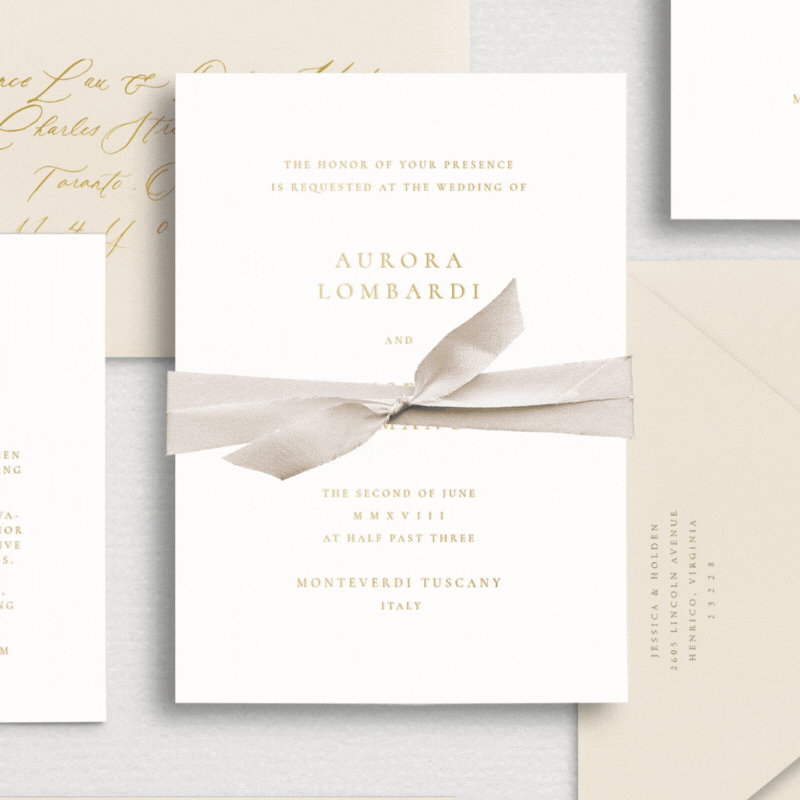 Violet — Paula Lee Calligraphy