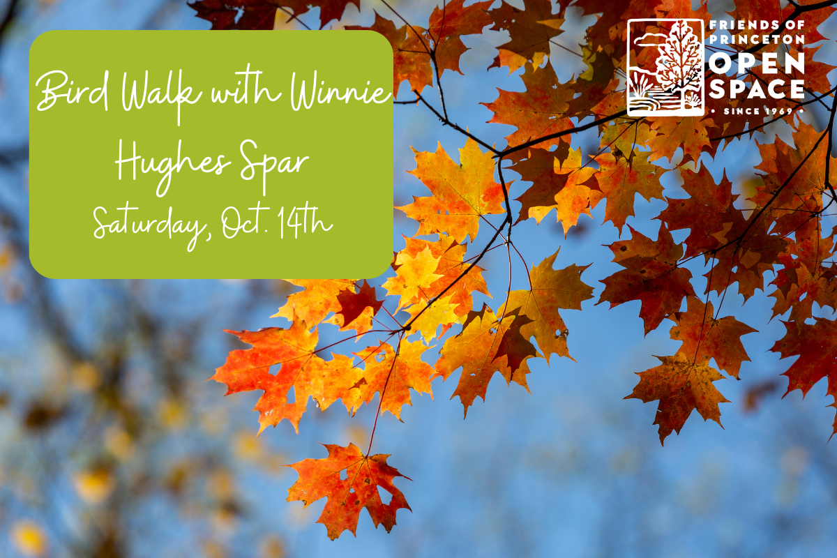 Guided Bird Walk with Winnie Hughes Spar // 10.14.23 — Friends of ...