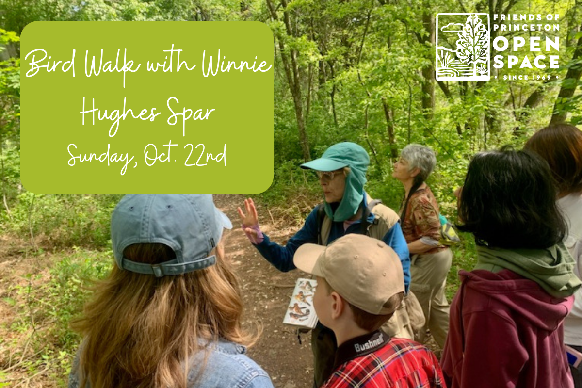 Guided Bird Walk with Winnie Hughes Spar // 10.22.23 — Friends of ...