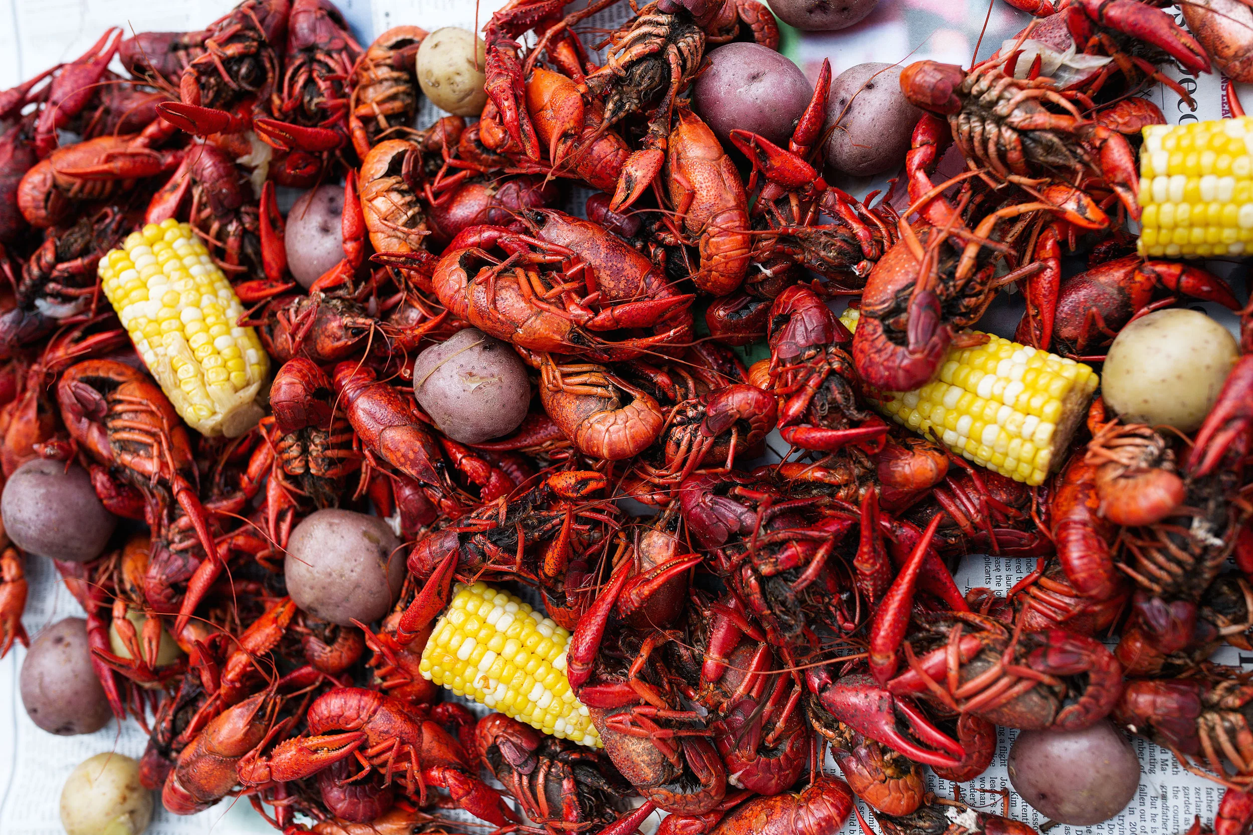 Traditional Southern Crawfish Boil — Cooking with Cocktail Rings