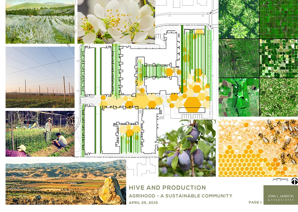 Agrihood — Joni L Janecki and Associates Landscape Architects