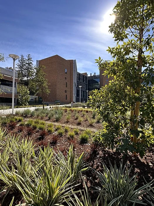 CalPoly Frost Center — Joni L Janecki and Associates Landscape Architects
