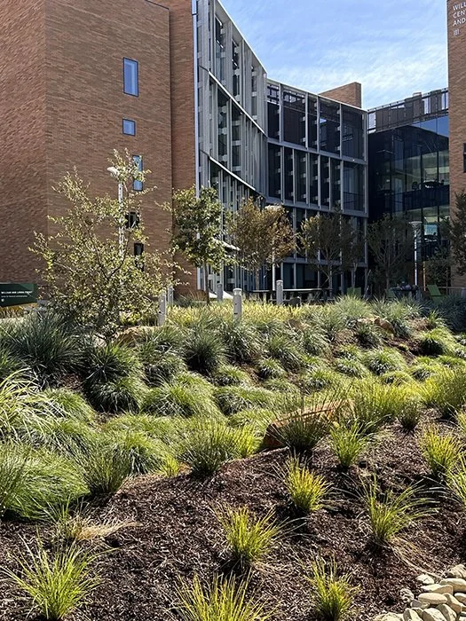 CalPoly Frost Center — Joni L Janecki and Associates Landscape Architects
