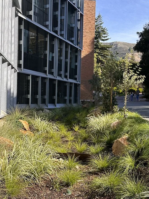 CalPoly Frost Center — Joni L Janecki and Associates Landscape Architects