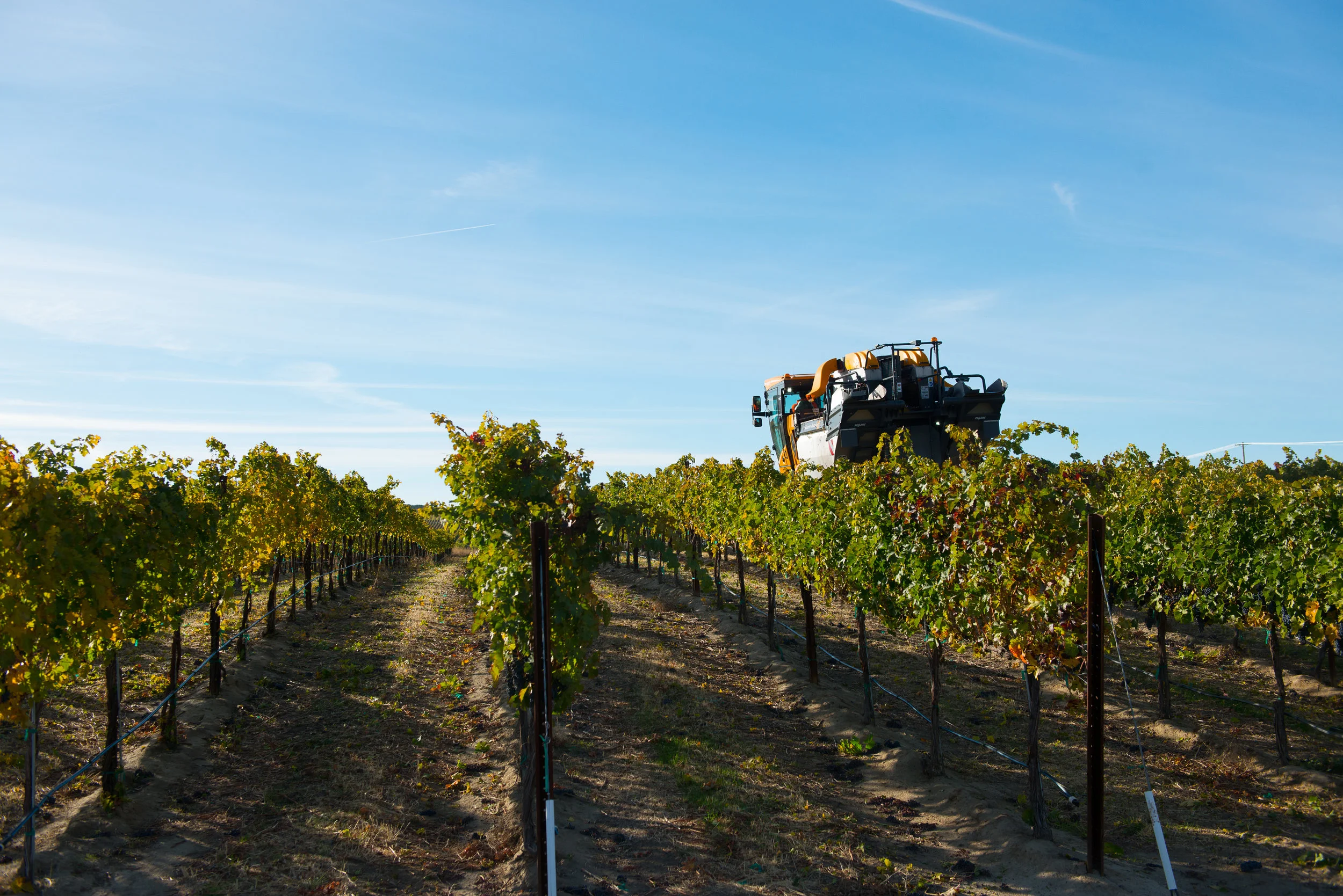 General Equipment — Vine Tech Equipment