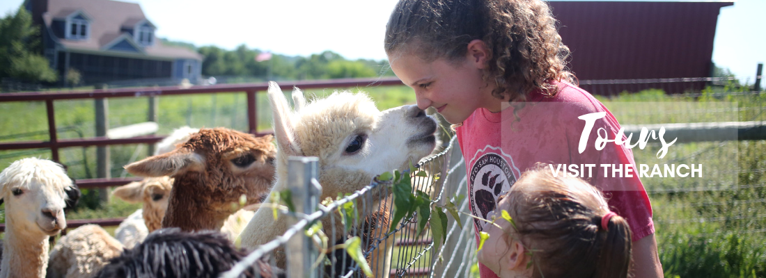 River Hill Ranch Alpaca Farm & Products Richmond, Kentucky