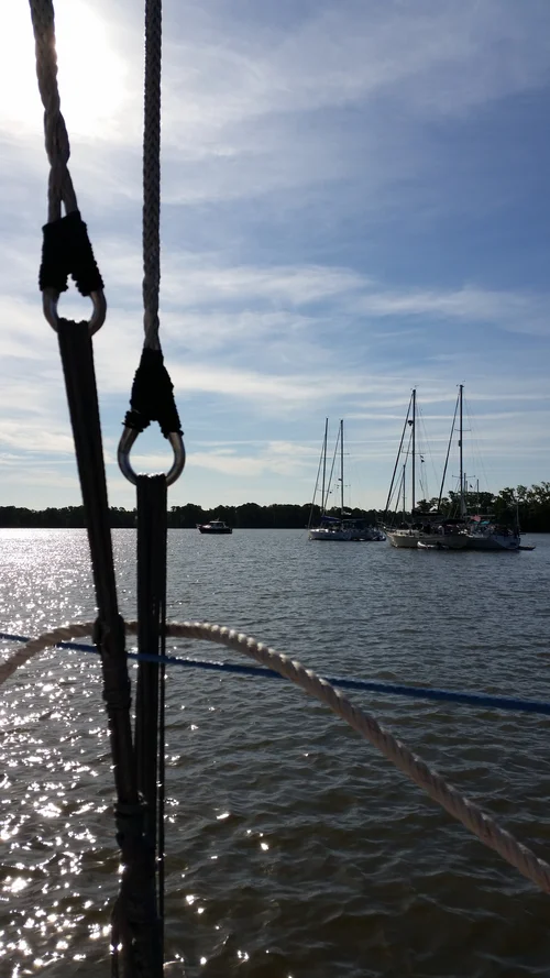 The Best Material for Synthetic Standing Rigging — Rigging Doctor