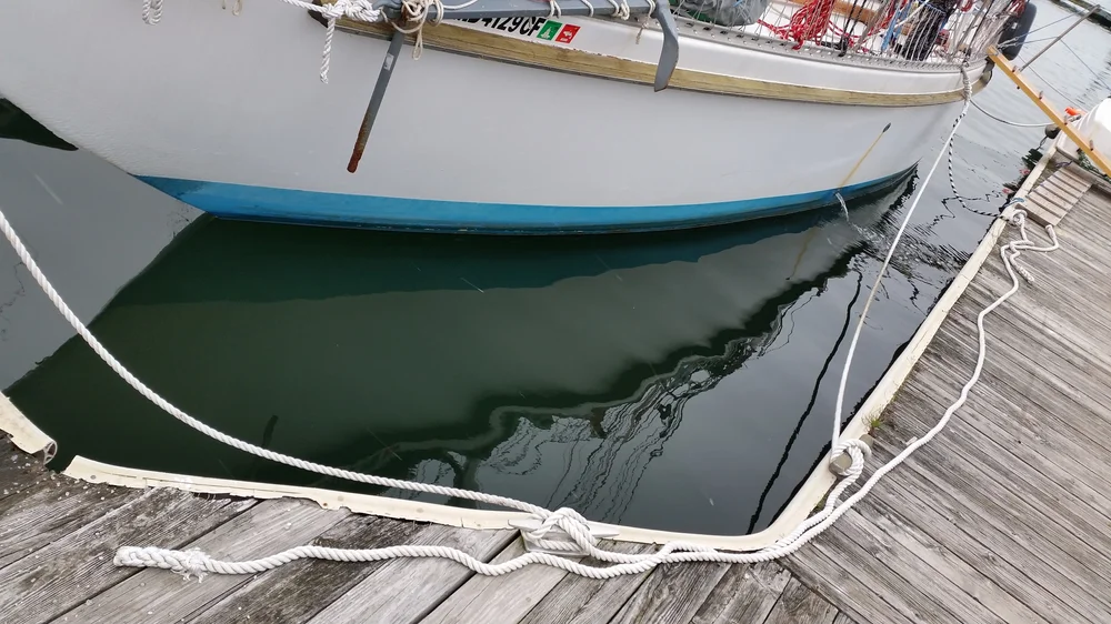 Dealing with Tails — Rigging Doctor