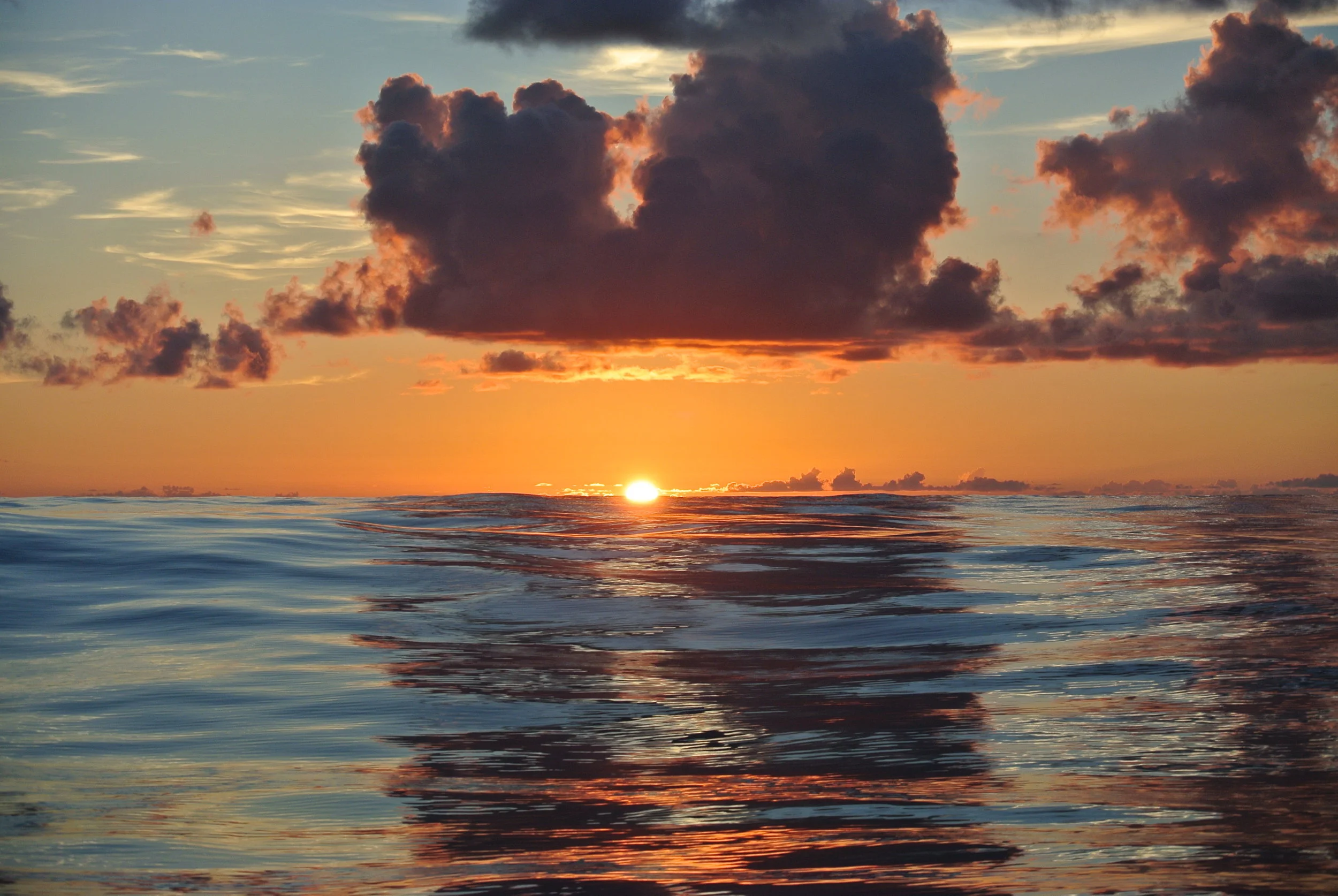 Ocean Sunsets — Rigging Doctor