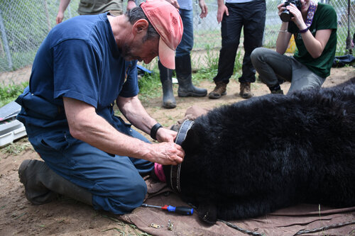 Upcoming Events — Wildlife Science Center