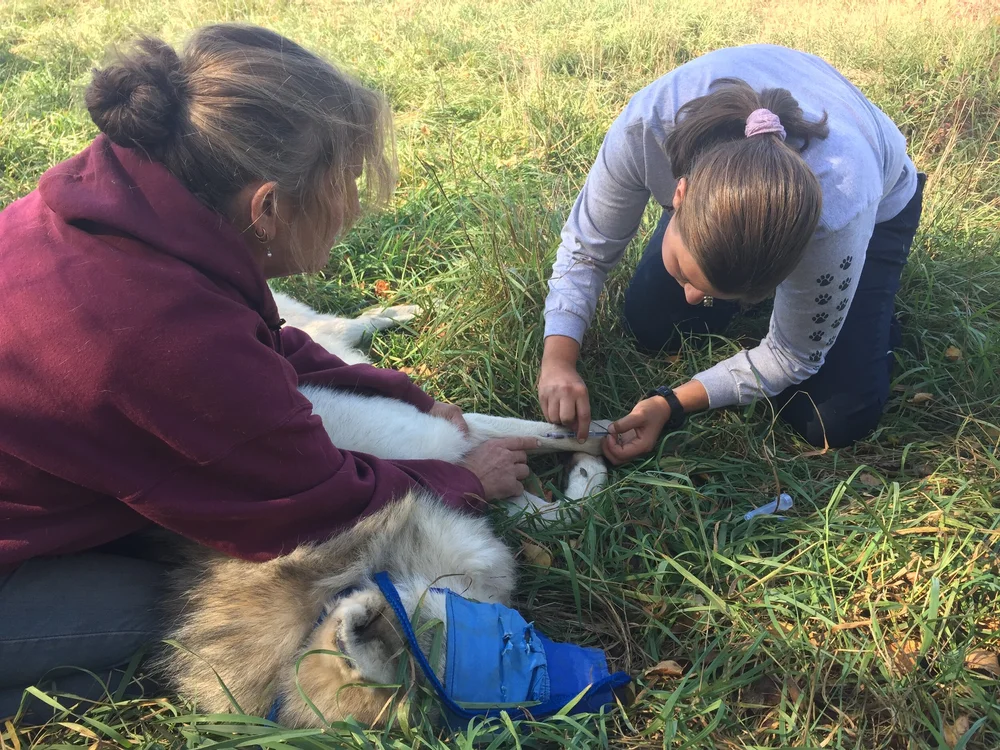 Wildlife Handling Class — Wildlife Science Center
