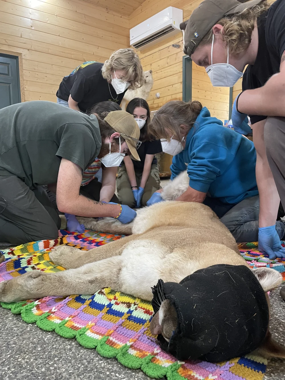 Upcoming Events — Wildlife Science Center