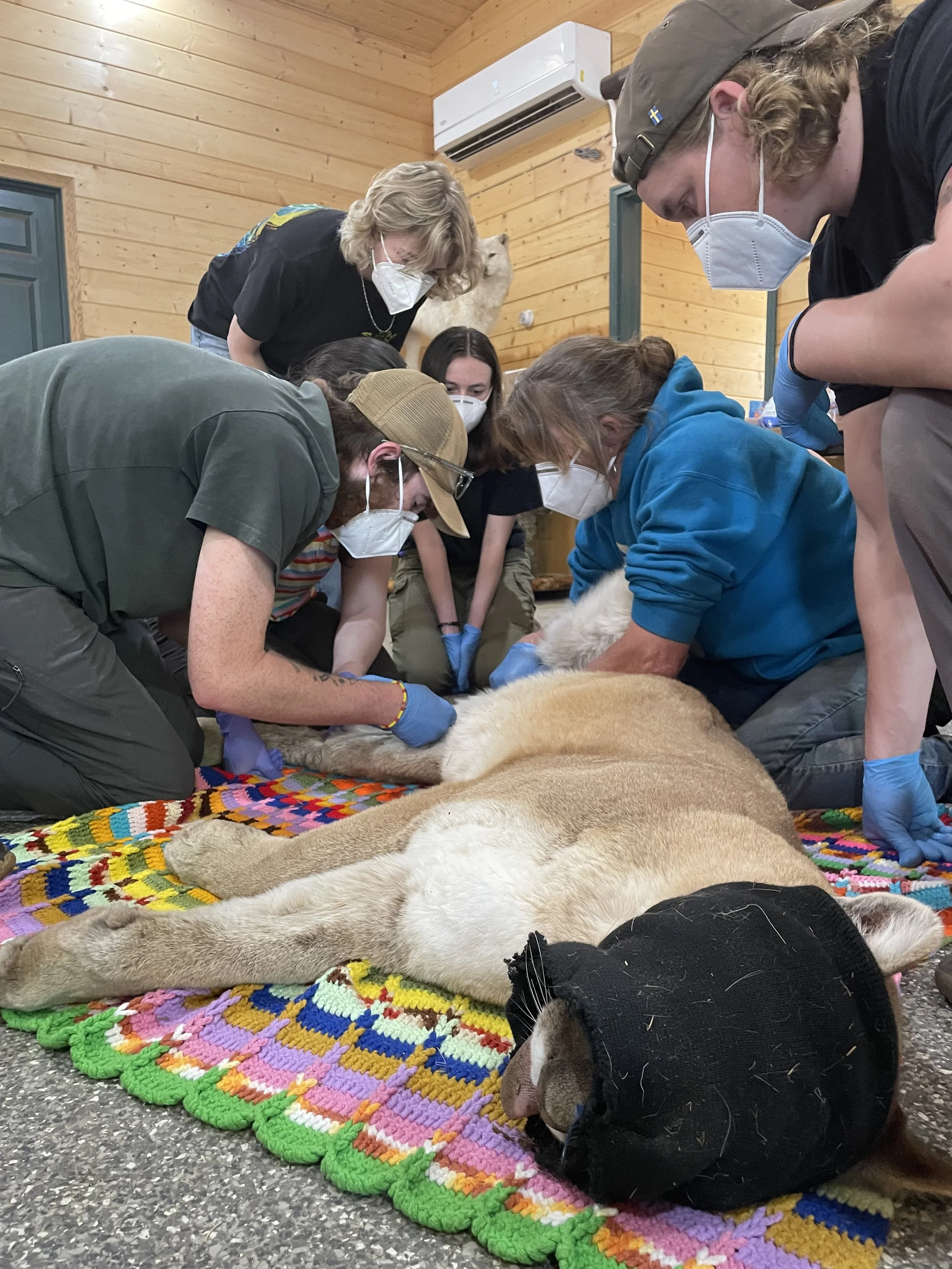 Upcoming Events — Wildlife Science Center