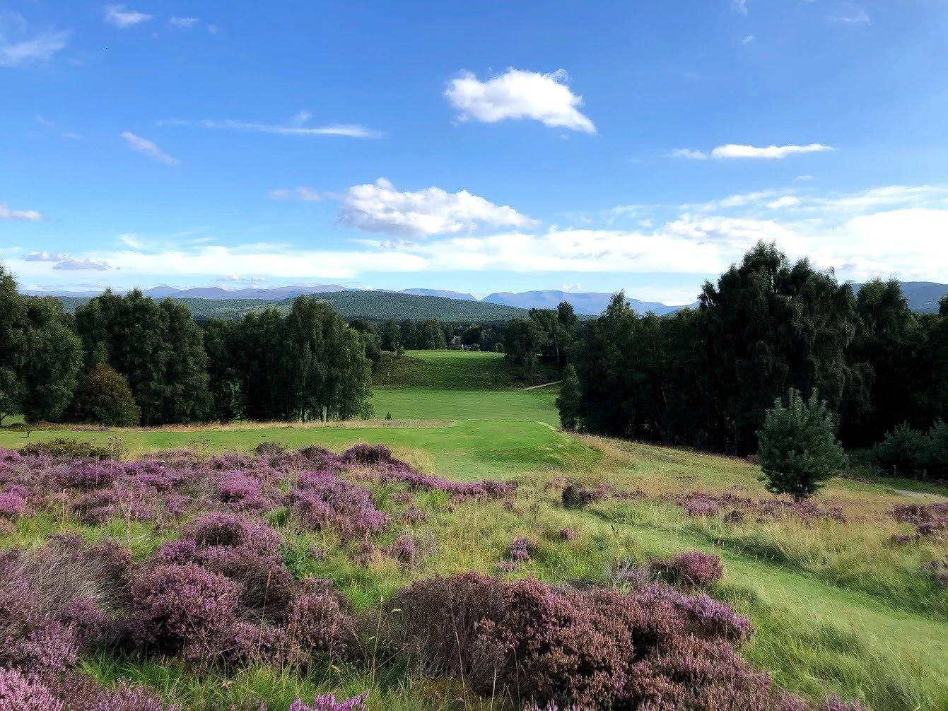 Explore: the historic village of Carrbridge — LOVE CAIRNGORMS