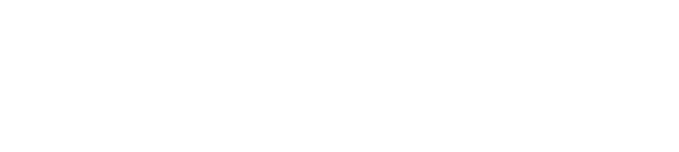 SSVF — Delaware Center for Homeless Veterans