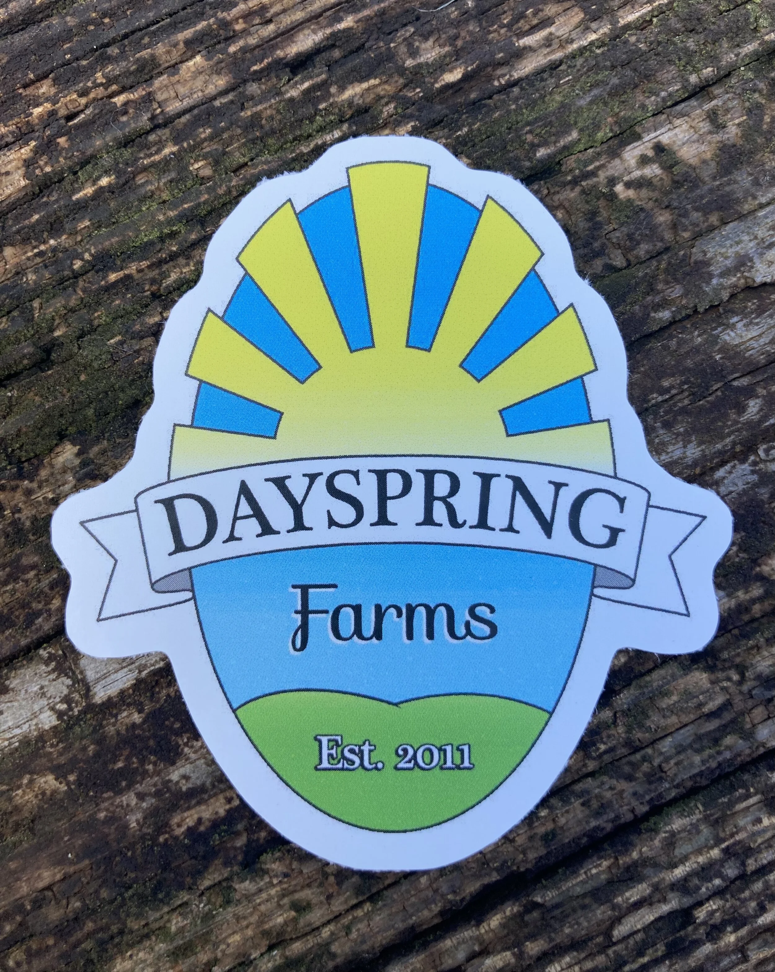 Store — DaySpring Farms