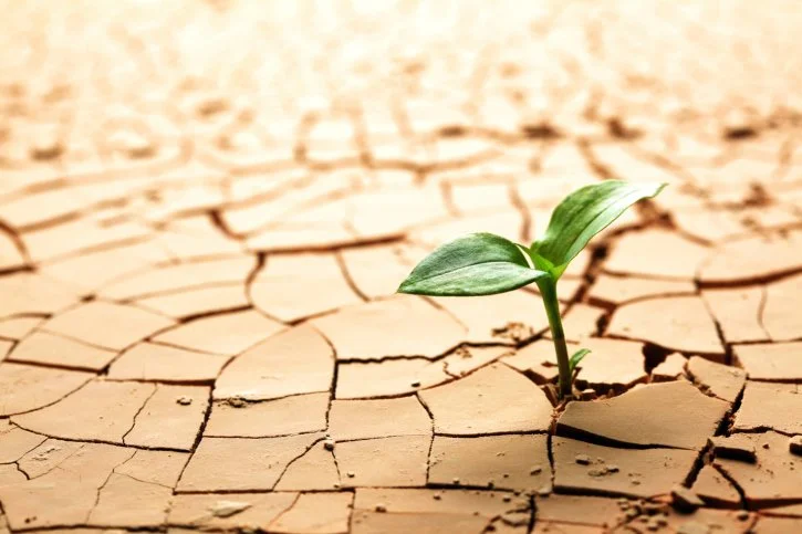 The Art of Perseverance: Overcoming Life's Challenges — My Best Self 101