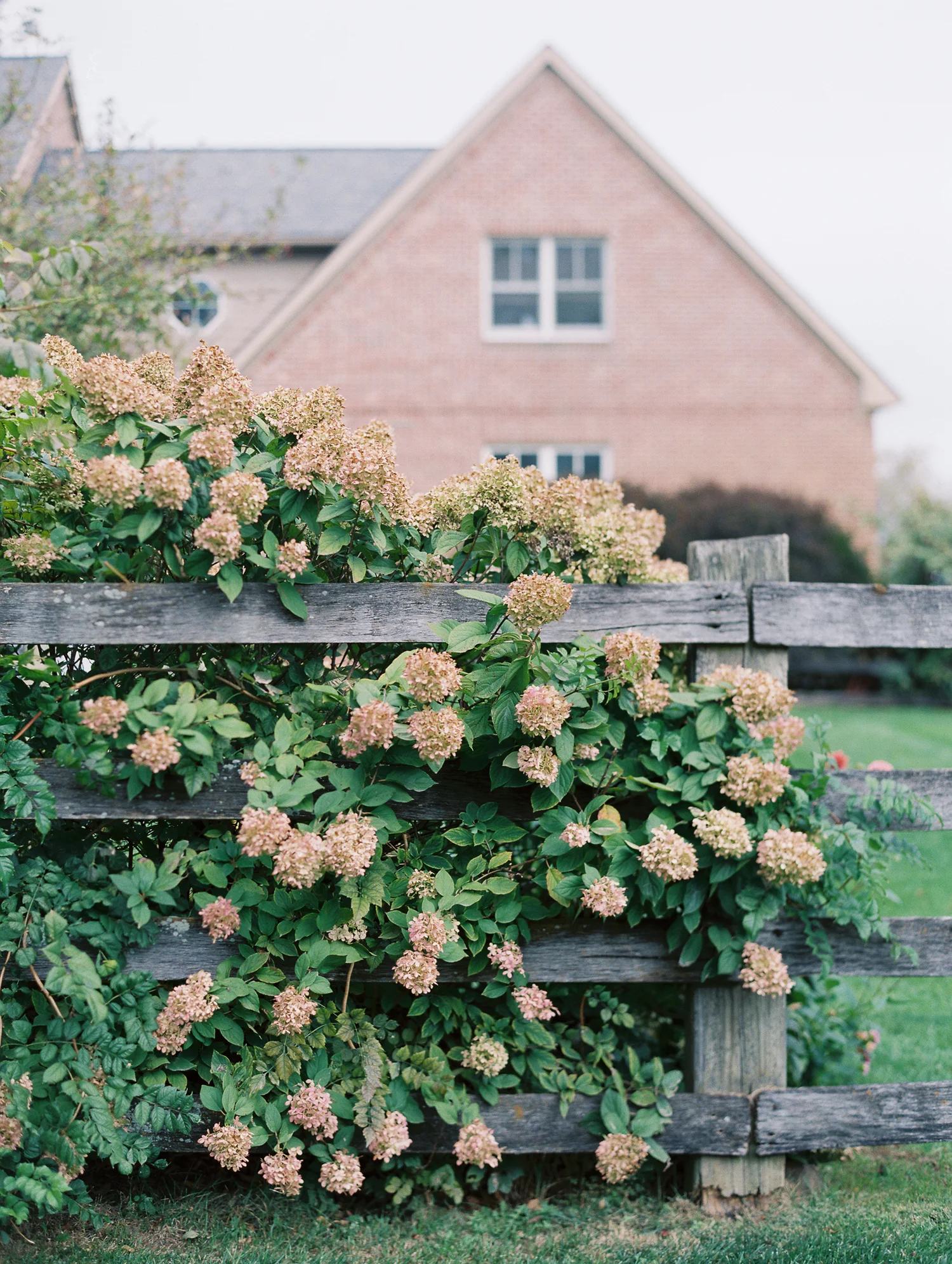 Shelby & Paul | Misty Farms Ann Arbor Wedding — Ashley Slater Photography