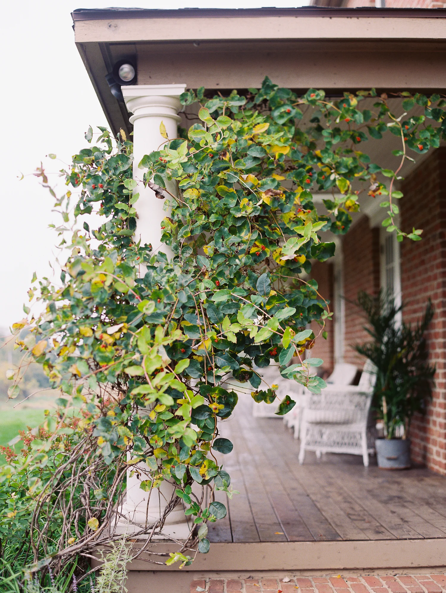 Shelby & Paul | Misty Farms Ann Arbor Wedding — Ashley Slater Photography