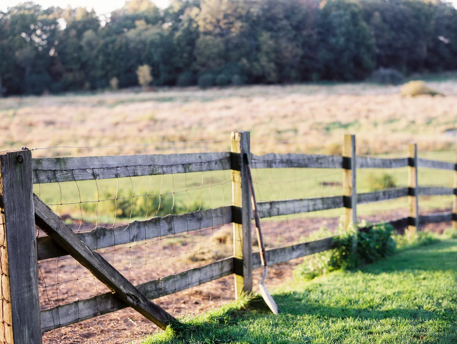 Shelby & Paul | Misty Farms Ann Arbor Wedding — Ashley Slater Photography