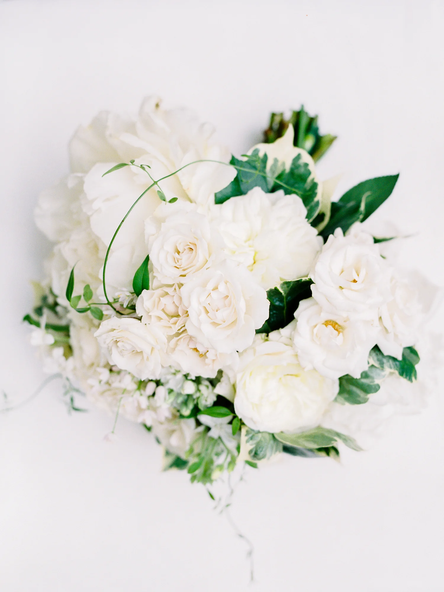 Caitlin + Andrew | Northport Wedding — Ashley Slater Photography