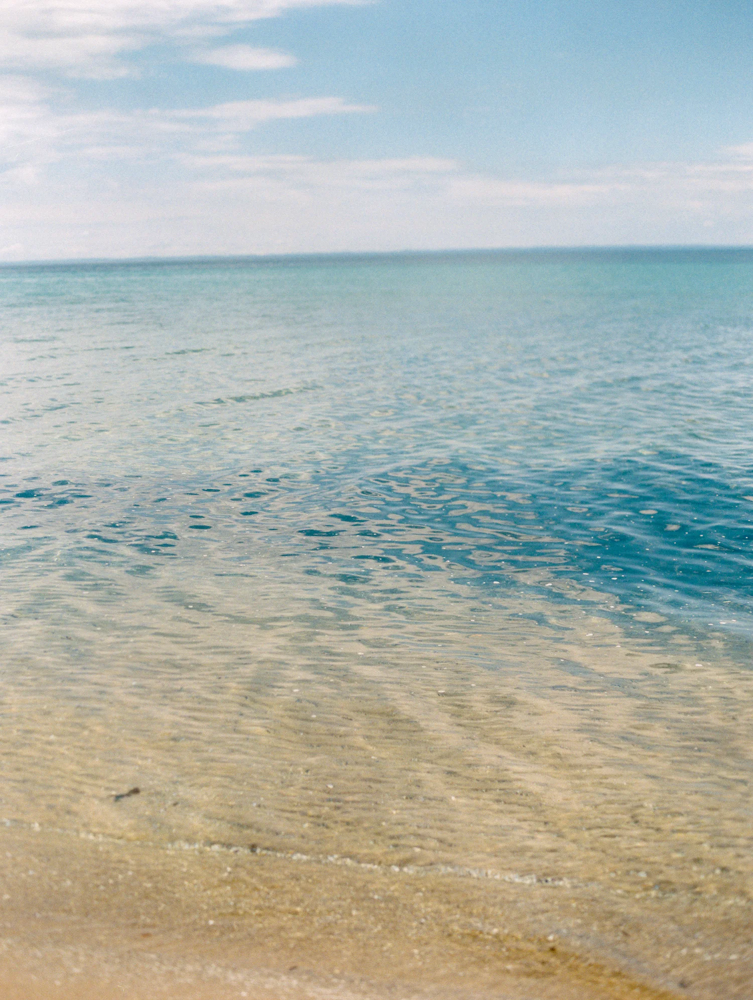 Caitlin + Andrew | Northport Wedding — Ashley Slater Photography