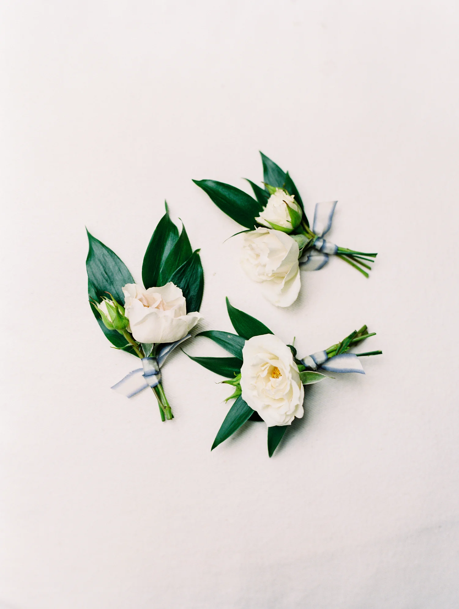 Caitlin + Andrew | Northport Wedding — Ashley Slater Photography
