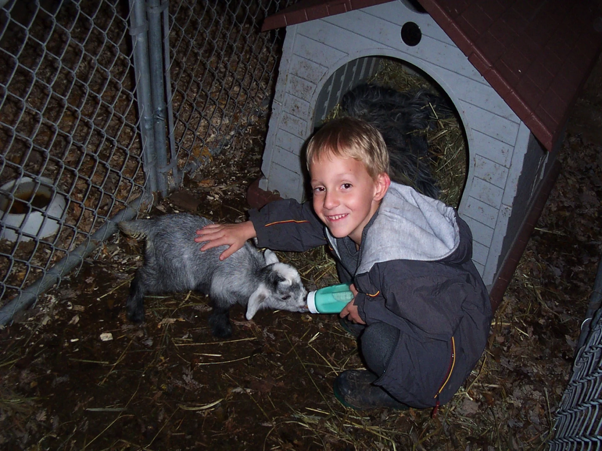 Paws Critter Crossing