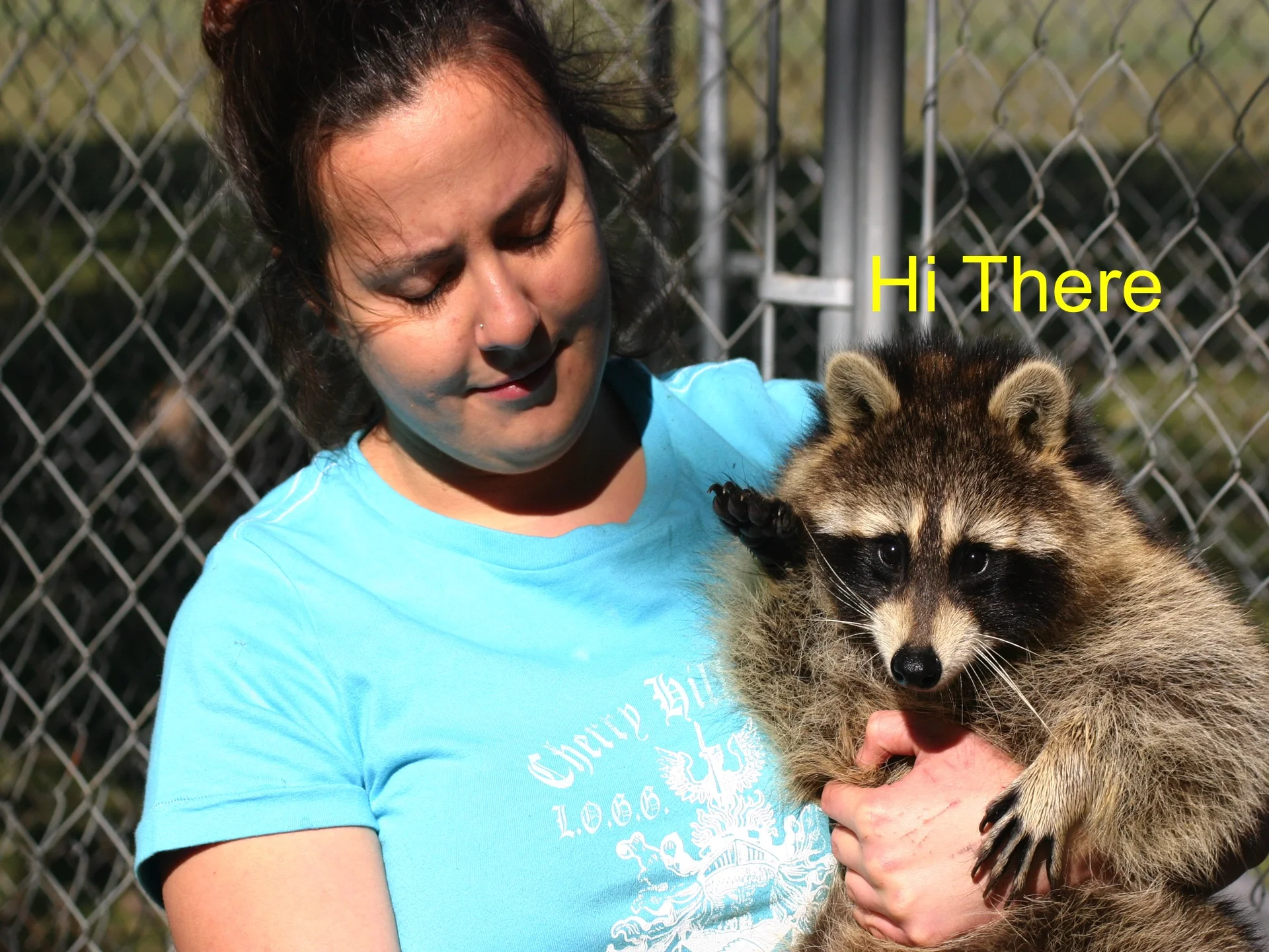 Paws Critter Crossing