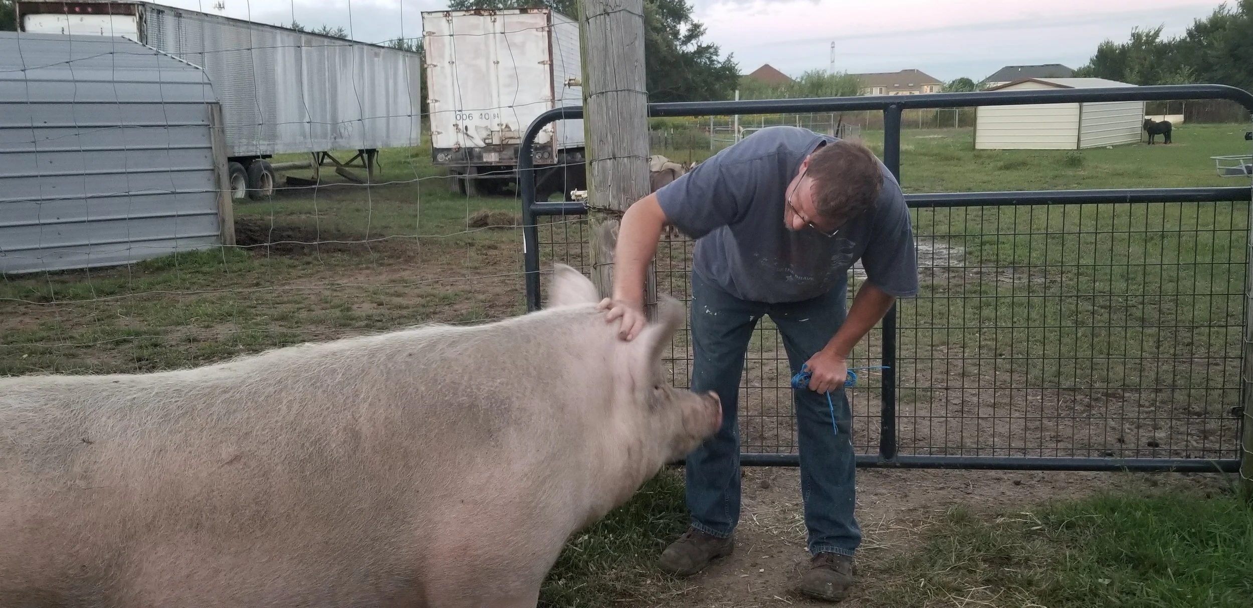 Paws Critter Crossing