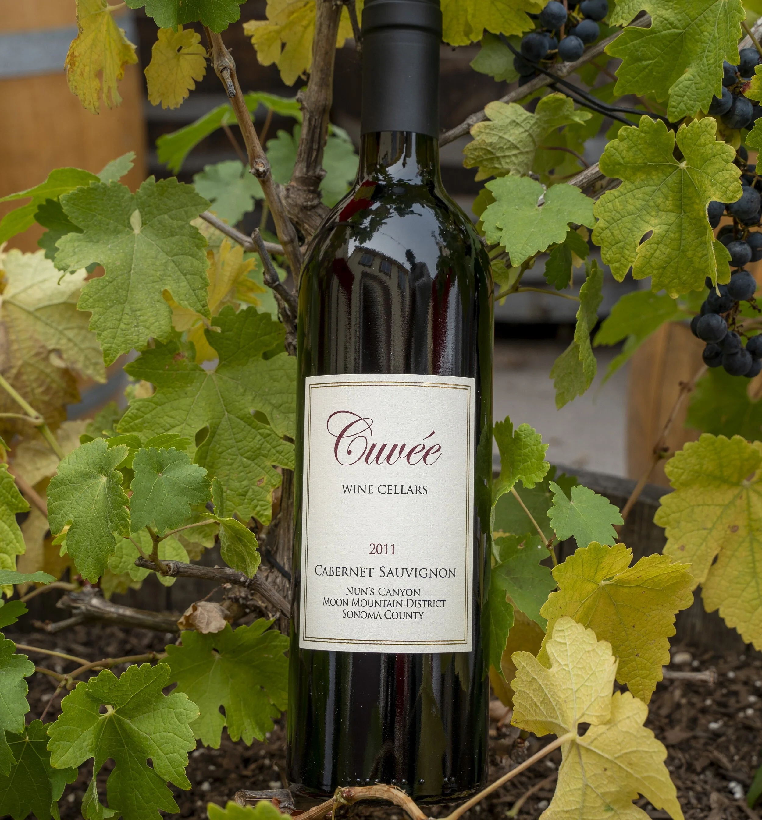 Cuvée Wines — Cuvée WINE CELLARS