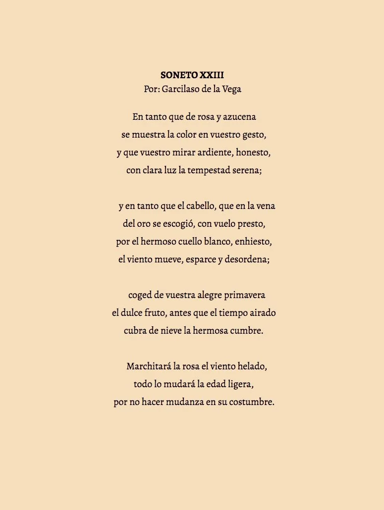 "Soneto XXIII" - Garcilaso de la Vega (A2) — Meridian Academy