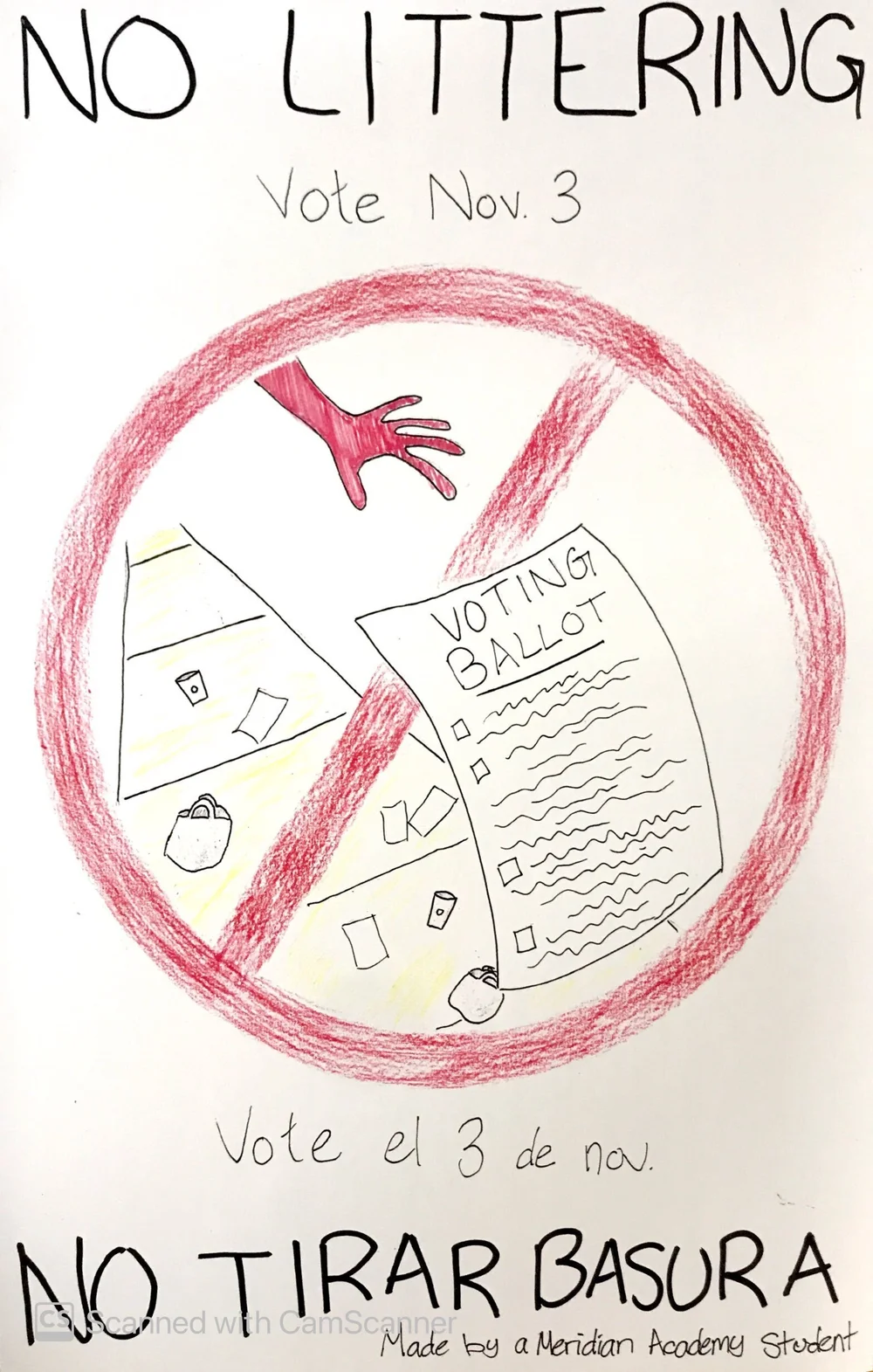 2020 Voting Posters — Meridian Academy