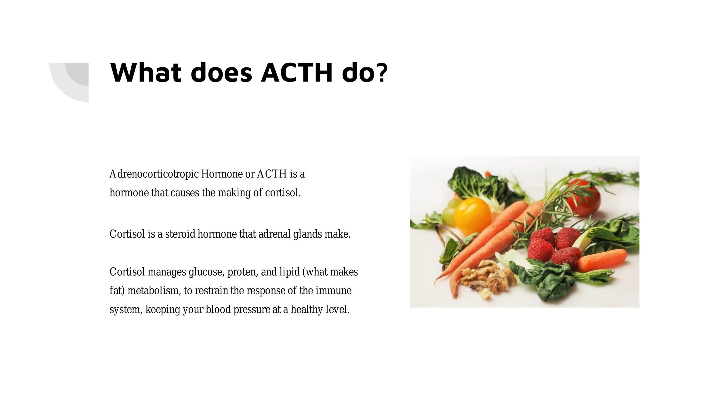 Protein Skit/Presentation — Meridian Academy