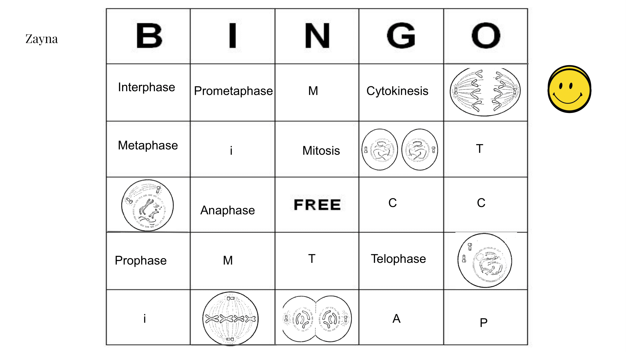 Cell Cycle/Mitosis Board Game or Video — Meridian Academy