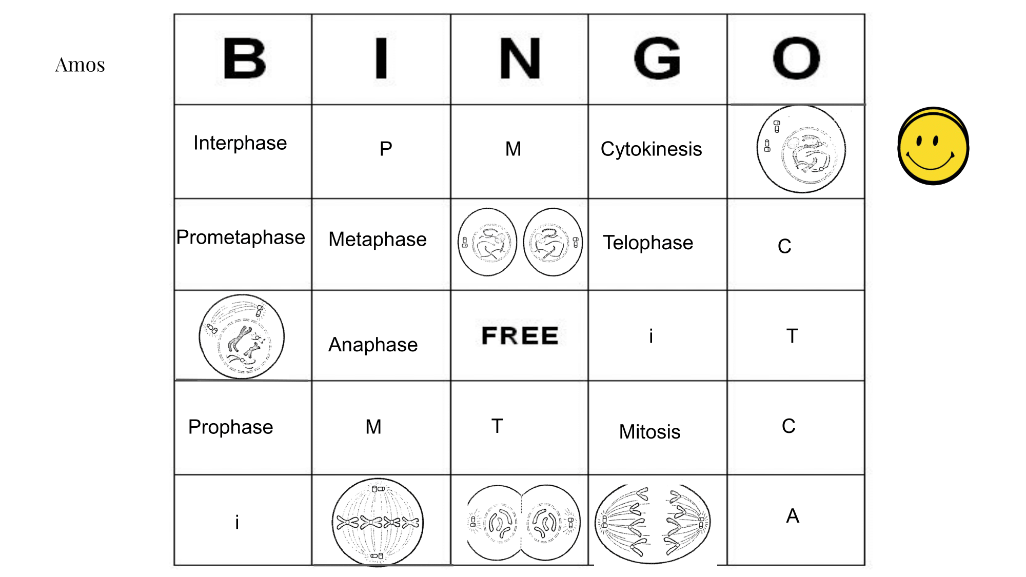 Cell Cycle/Mitosis Board Game or Video — Meridian Academy