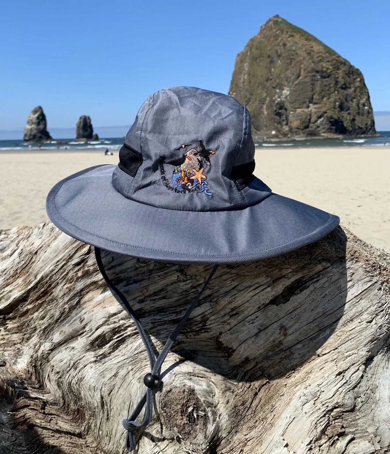 WILD — DragonFire Gallery