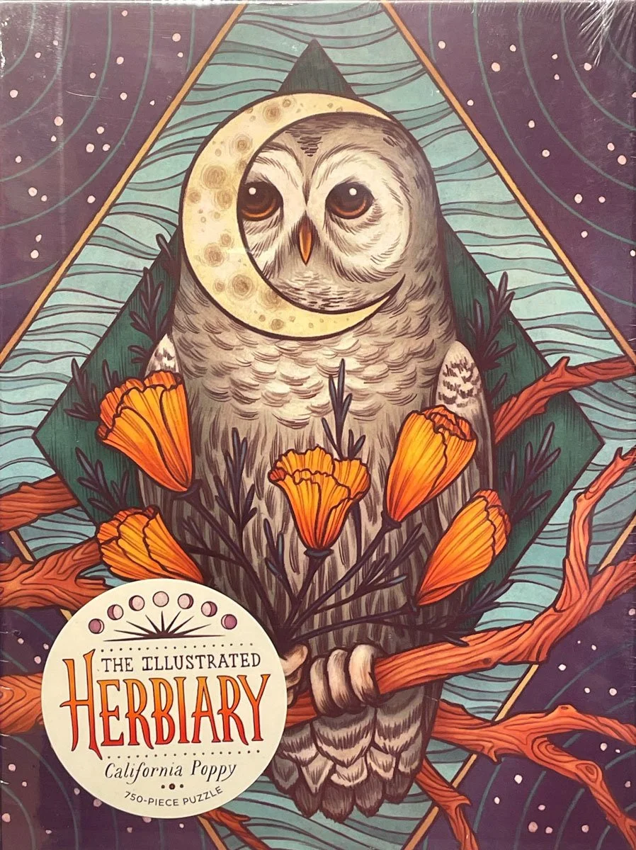 WILD — DragonFire Gallery