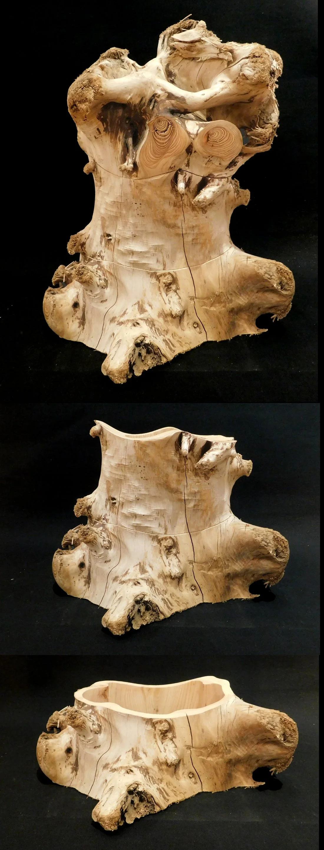 RICHARD NEVELS — DragonFire Gallery