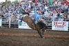 Eugene Pro Rodeo