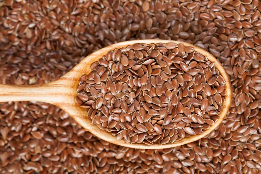 Merveilleuses graines de lin — Karen Vago