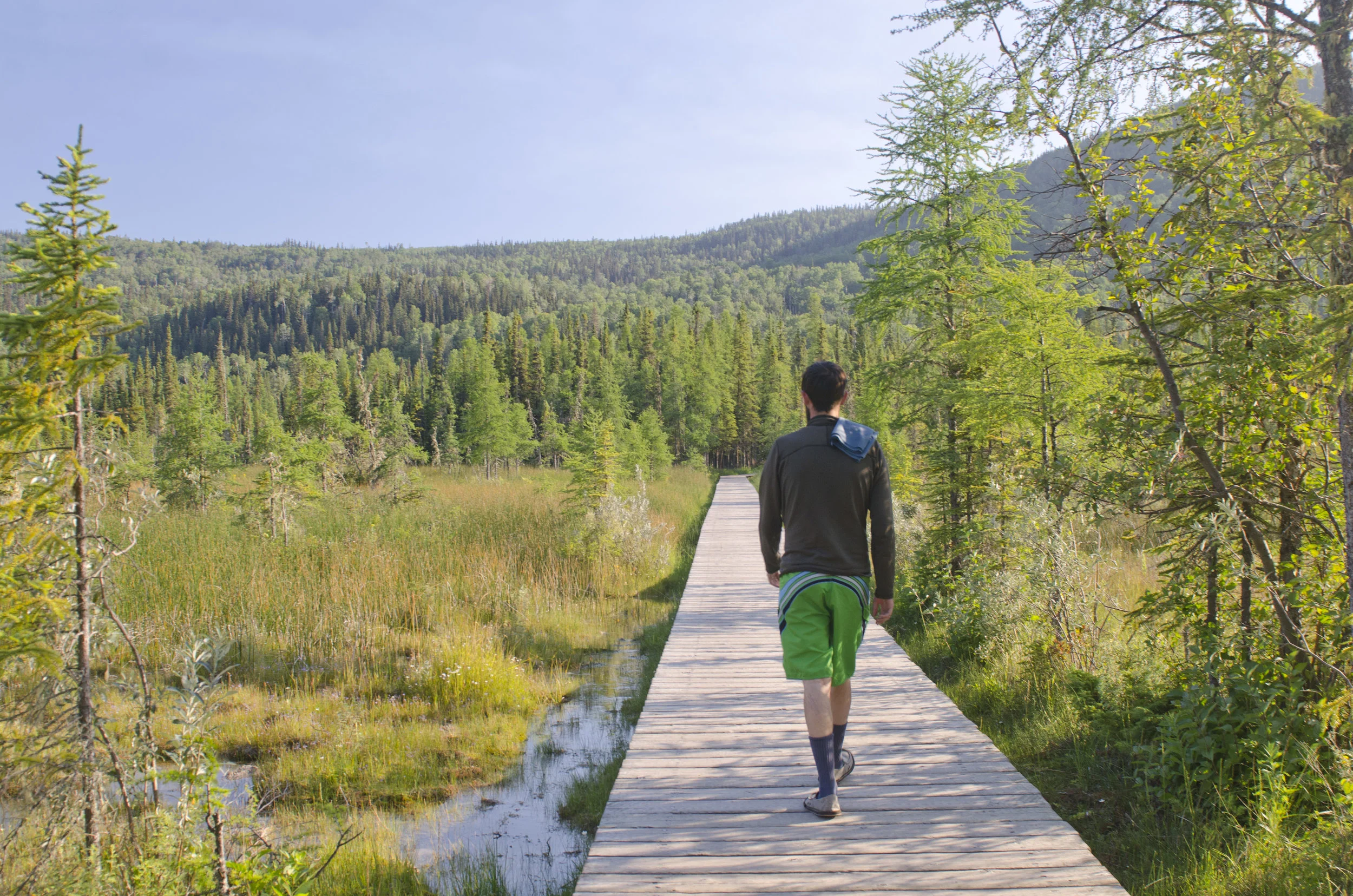 A Guide to Liard River Hot Springs — The Wandering Woods