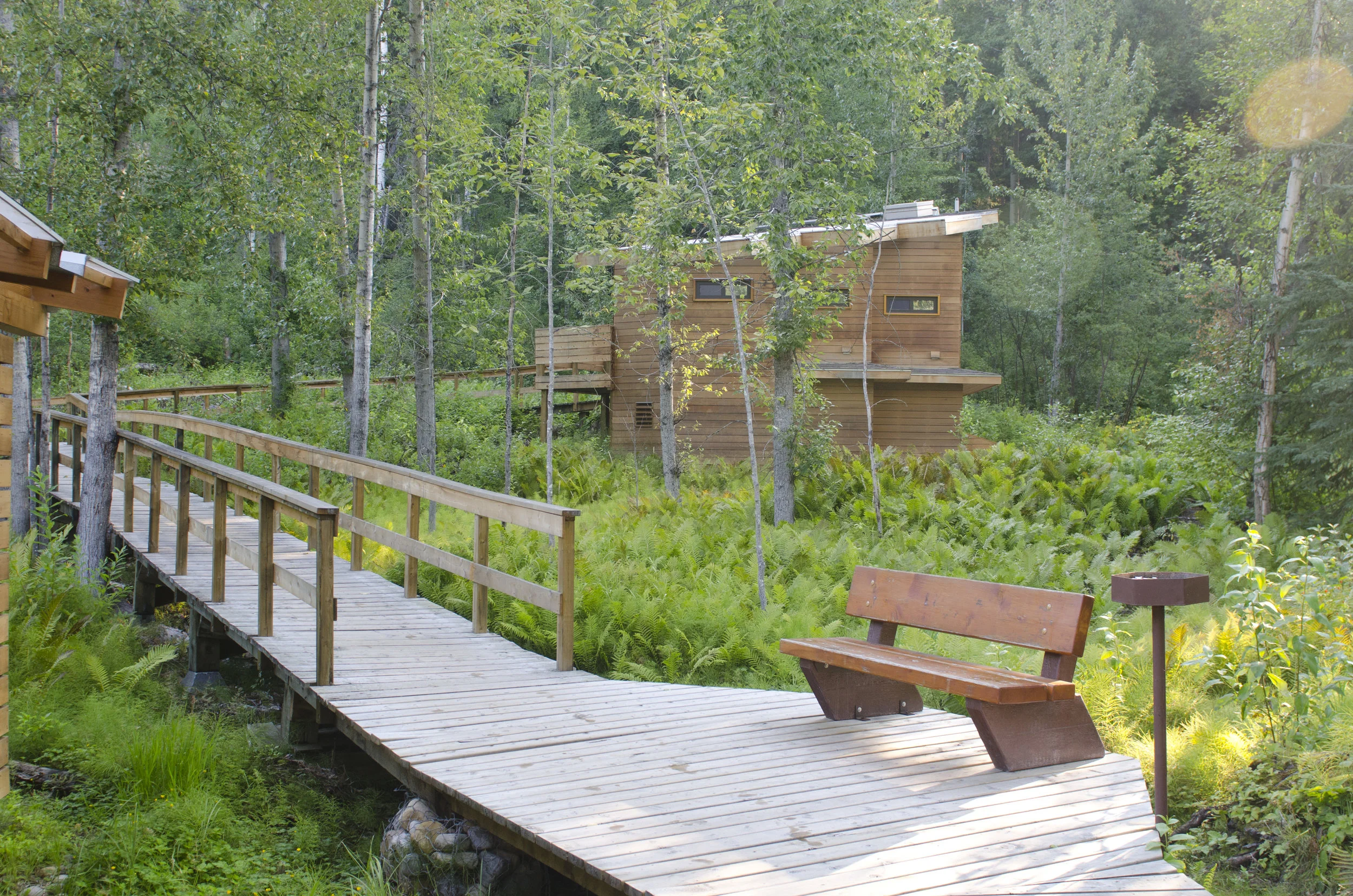 A Guide to Liard River Hot Springs — The Wandering Woods