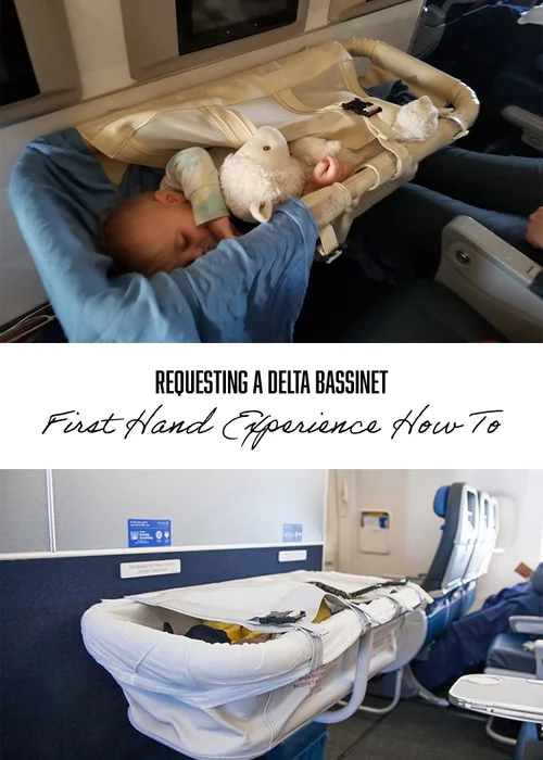 Requesting Delta Bassinet - First-Hand Experience How To — The ...